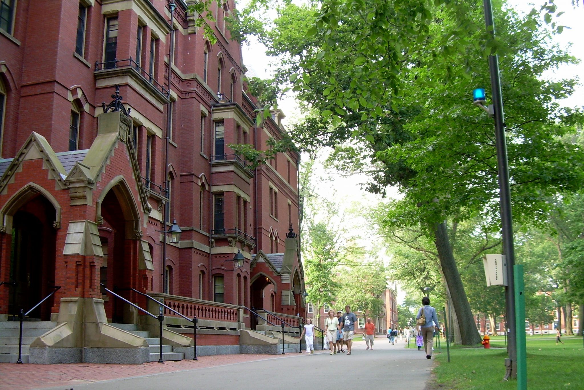 Harvard University : l’indétrônable - Tendances Blook.